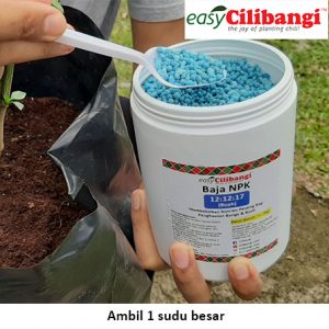 Baja NPK Biru 12:12:17 (Buah) | Blog Cilibangi